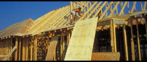 Hood Plywood Products | Hood Industries